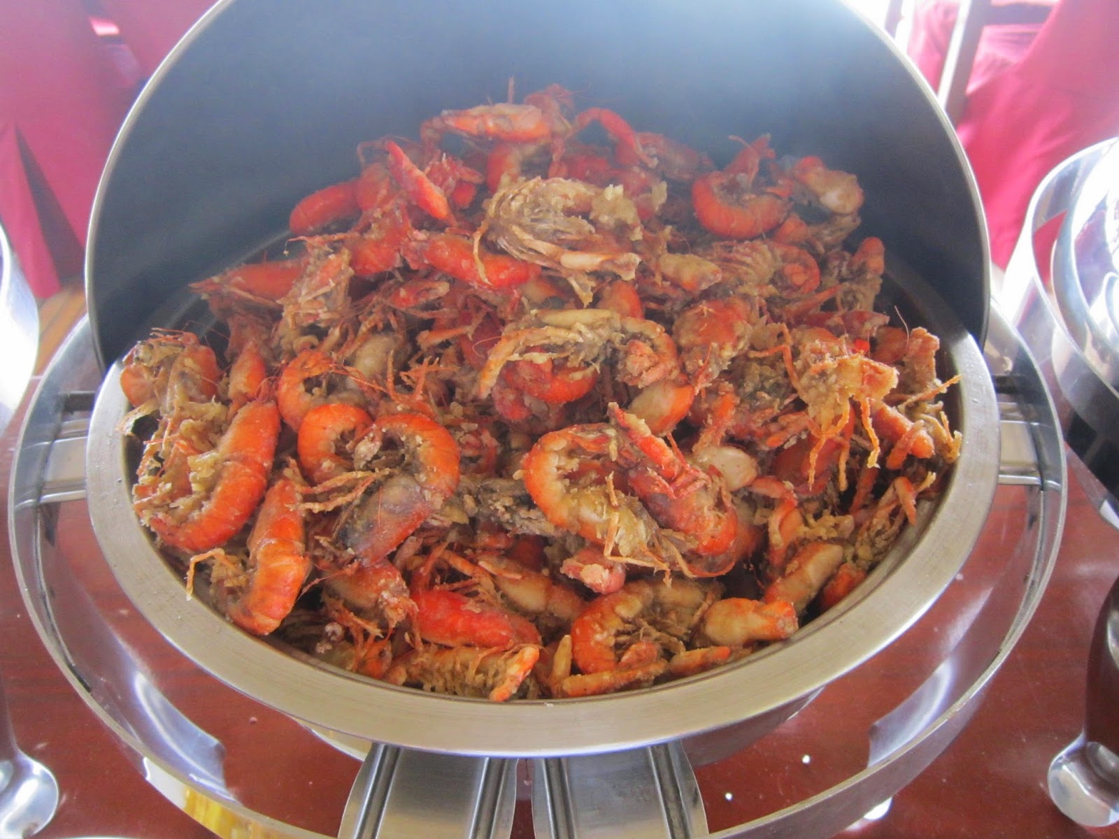 mojacko's world: Back in Bohol