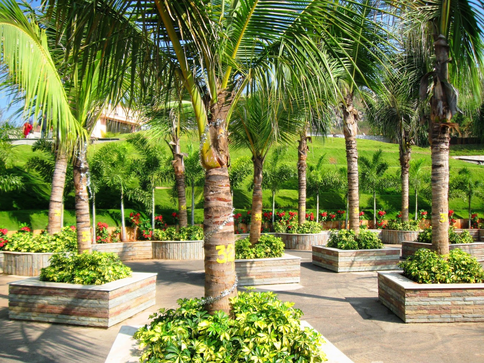 Natural Greenery - Nature & Knowledge Photography