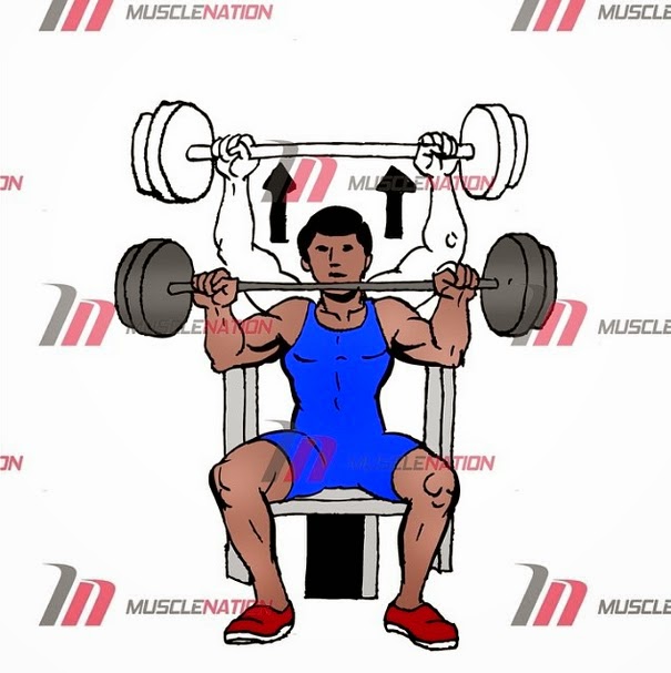 Position for the front shoulder press | Gym Exercises Home