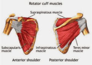 Post Industrial Woman Life!: ROTATORY - wzmocnij ramiona!