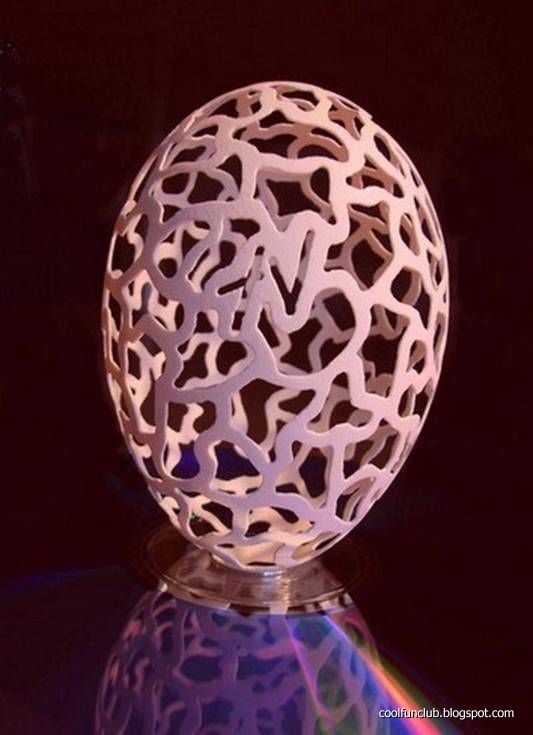 CoolFunClub: Eggshell Creativity