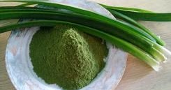 Pandan Powder Suppliers: Health benefits of pandan powder
