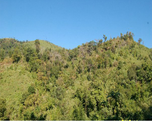 All about bangladesh,history of Bangladesh,places of Bangladesh,beauty ...