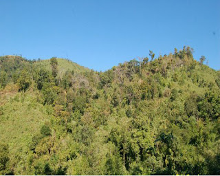 All about bangladesh,history of Bangladesh,places of Bangladesh,beauty ...