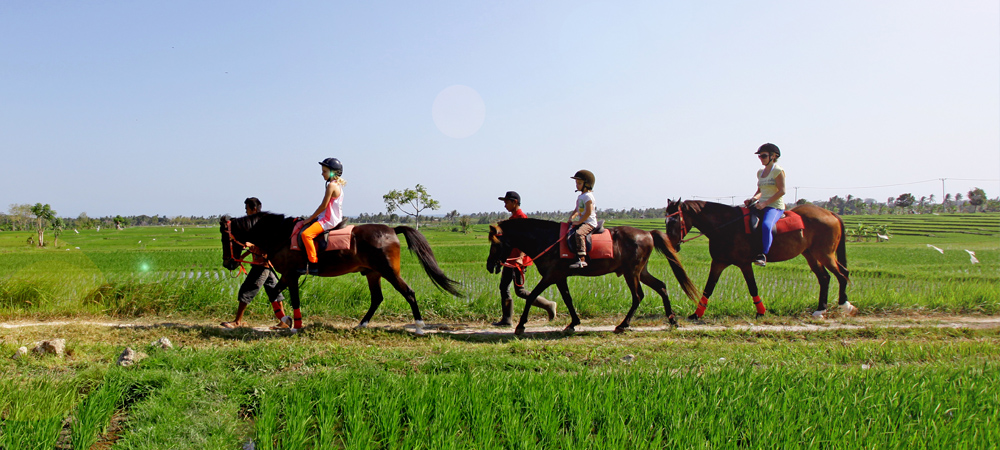 THINGS TO DO IN BALI GUIDE: KUDA P STABLES @ Pererenan
