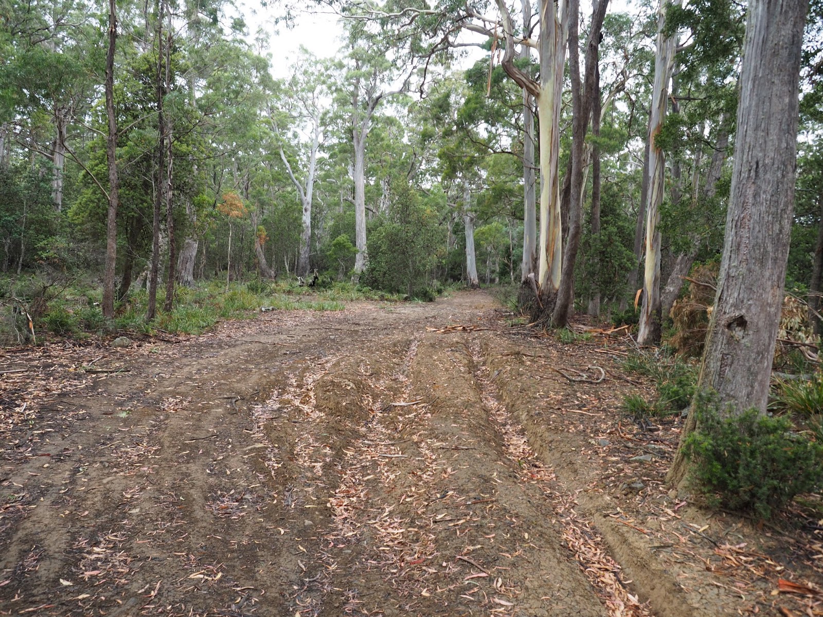 Tooms Lake | Hiking South East Tasmania