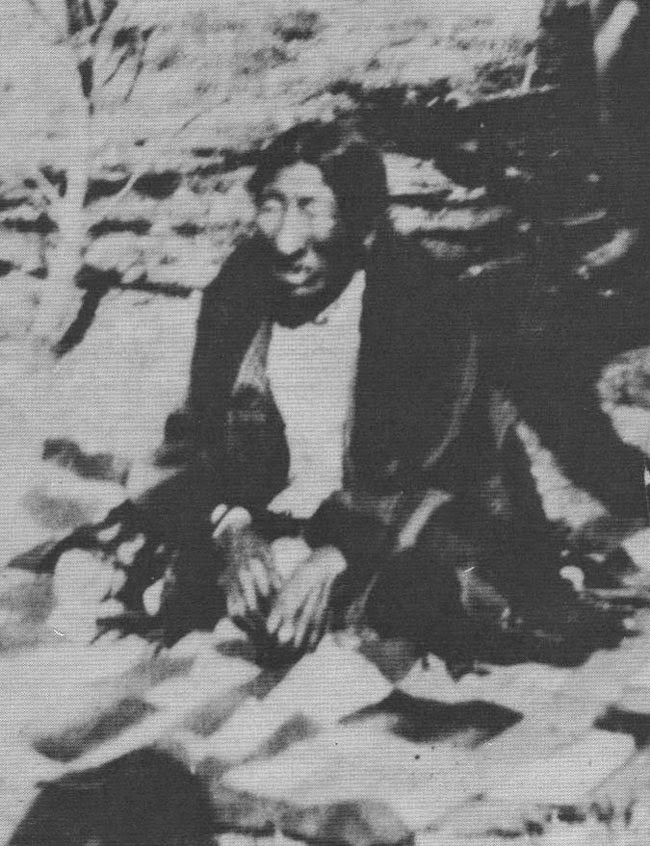 Pequeño Animal En Disturbio: 2014