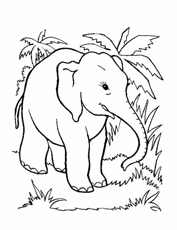 Kids Page: Elephant Coloring Pages