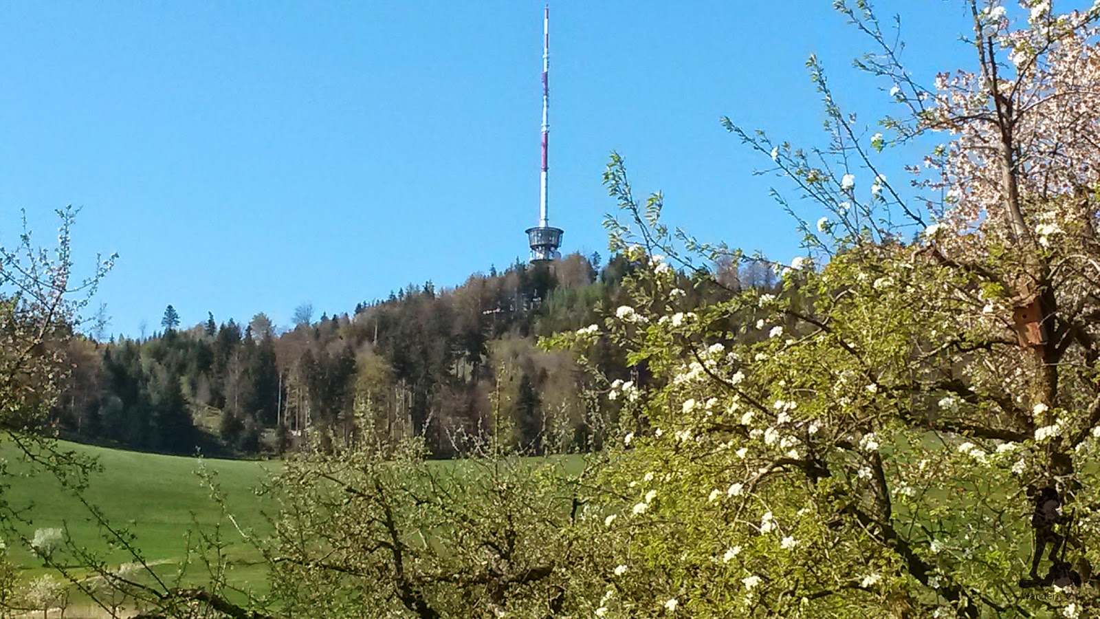 Wandern-2.0: Auf und rund um den Bantiger