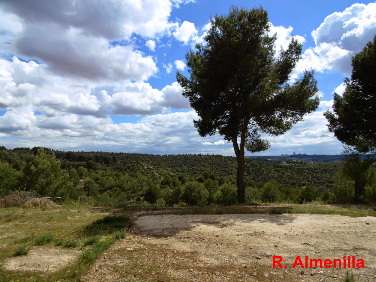 Descubriendo las aves de Madrid-Sur: RUTA POR ARGANDA DEL REY. EL ...