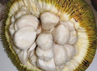 Bicara Mentari: BUAH TARAP SABAH SEDAP DIMAKAN, MENJADI REBUTAN