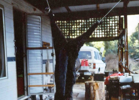 10 Legendary Monsters of Australasia and Antarctica | Mental Floss