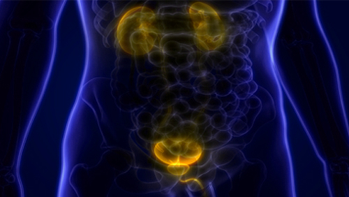Gravitate Science: New camera can see through hole Body