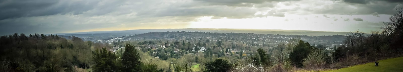 Enjoy your time with beautiful places: Reigate Hill Walk