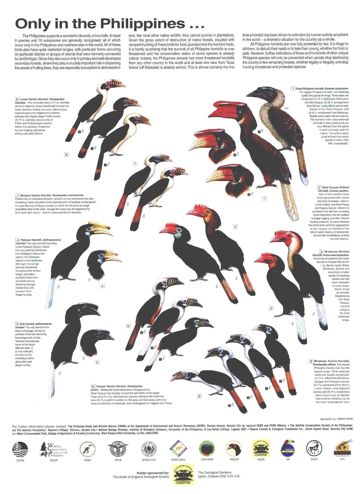 Species New to Science: [Conference • 2013] 6th International Hornbill ...
