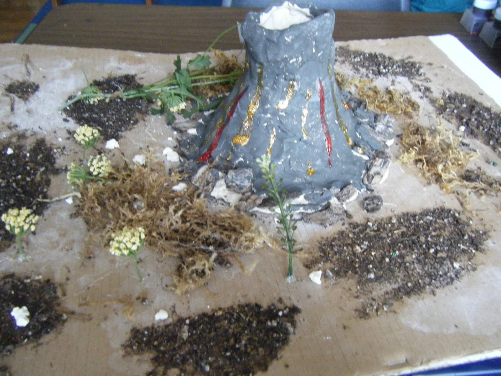 Mission Dolores 5th Grade: Natural Disaster Projects