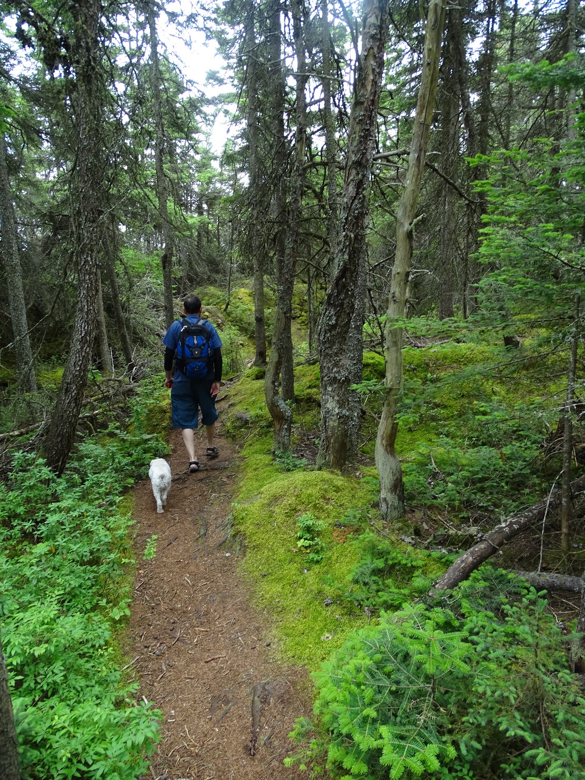 Les campigneux: Camping de la Pointe, Rivière-du-Loup, Québec