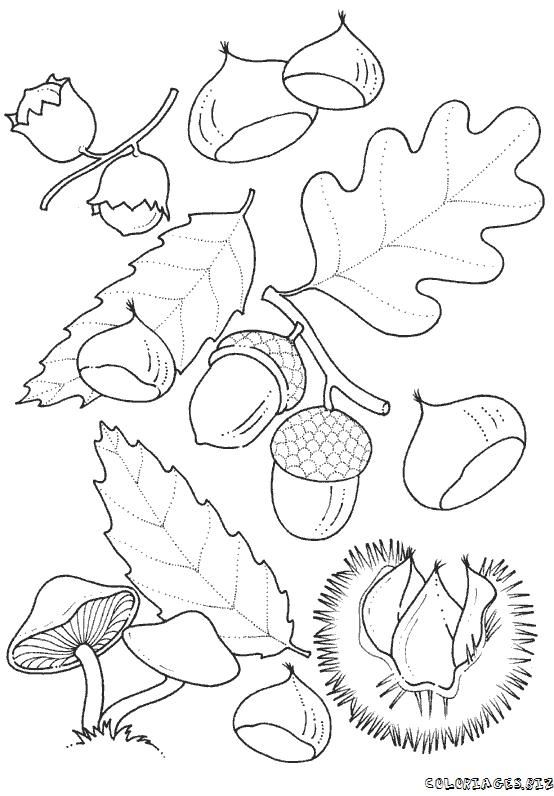 A tanító néni jegyzetei: Őszi rajz órák