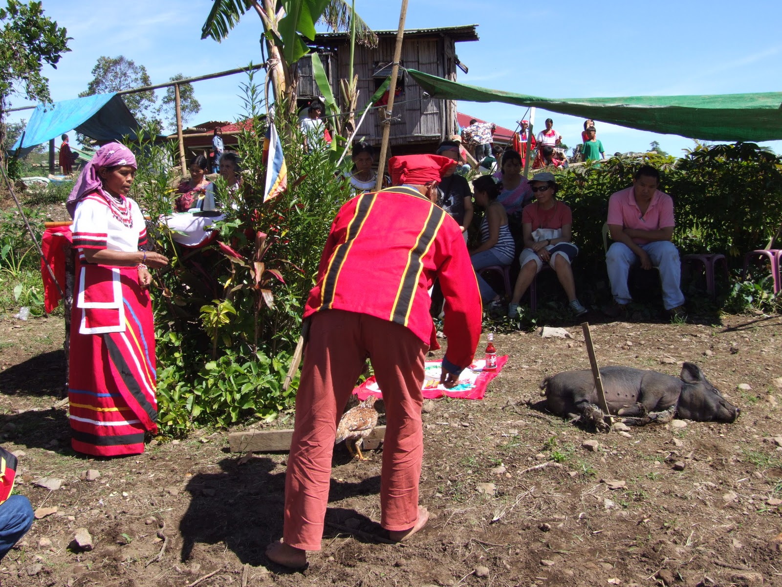 Keepers of Dreams: The Bukidnon Tribe: Photo Gallery
