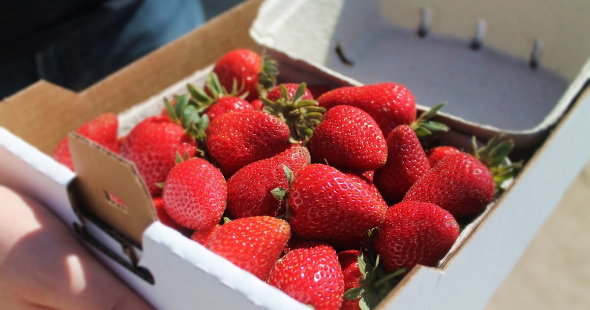 Mundane Mondays, Vol. X: More Food, More Beach Please | Makeup Withdrawal