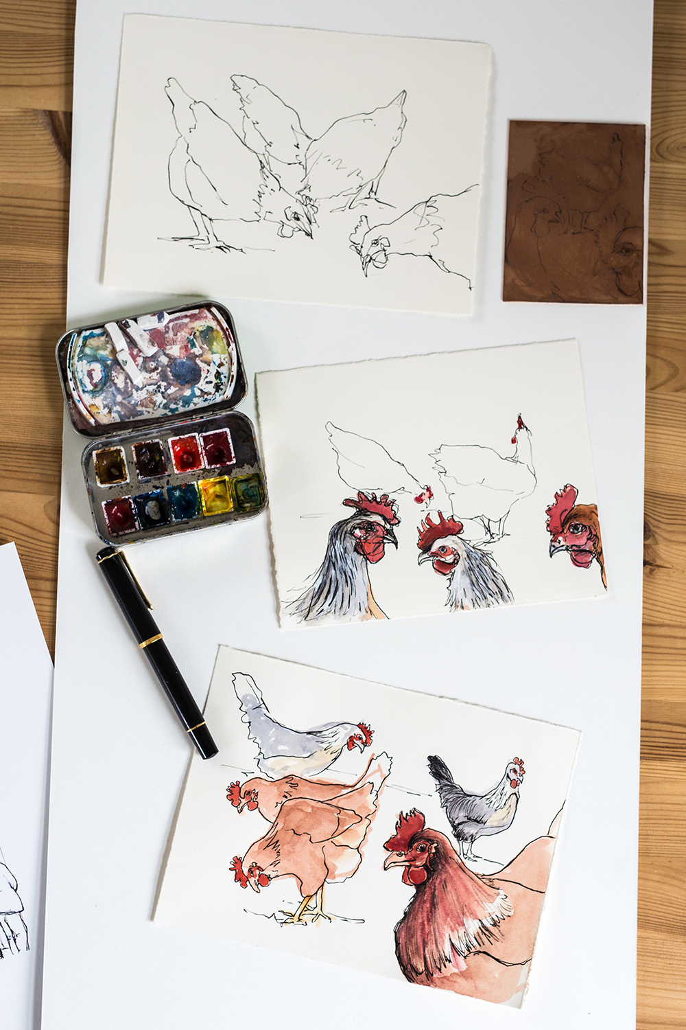 Kids' Book Review: Meet the Illustrator: Anna Wilson