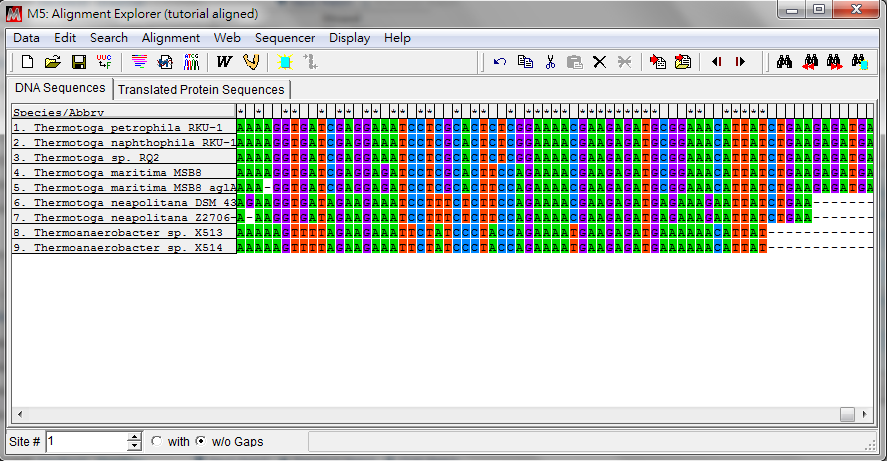Peggy's Intern Diary: Tutorial: A Phylogenetic Tree with MEGA 5