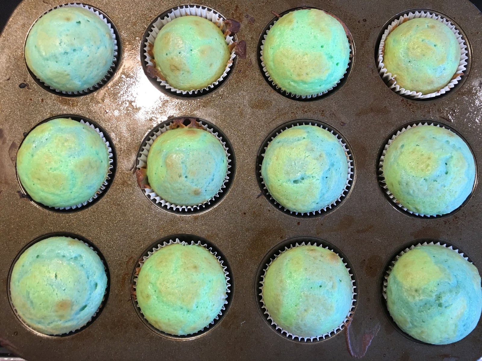 Week 4: The Creation