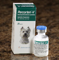Animal Endocrine Clinic: Treating Dogs with Hypoadrenocorticism ...