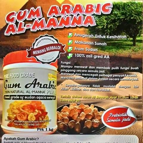 GUM ARABIC AL-MANNA: BERIKUT KEBAIKAN DAN FAEDAH YANG TERDAPAT PADA GUM ...