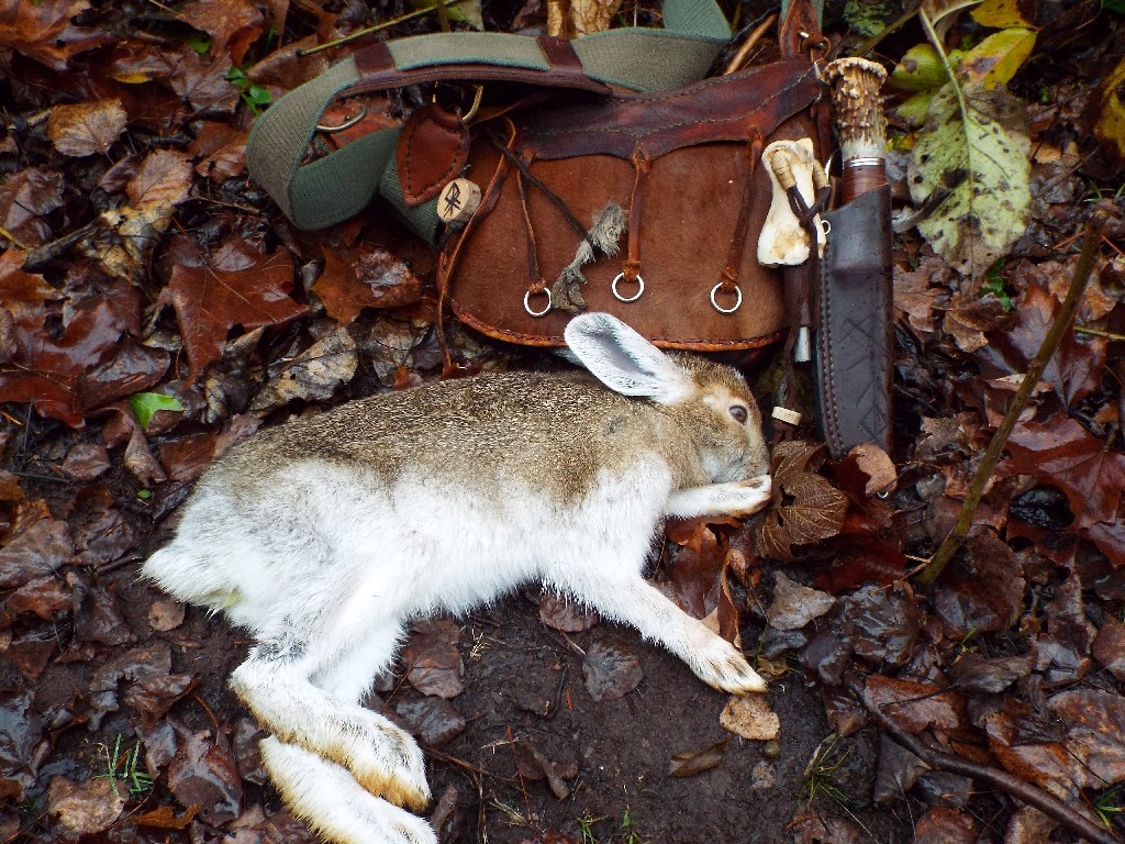 American Grouch: Skab Bag - Fast Break ~> Jurassic Rabbit