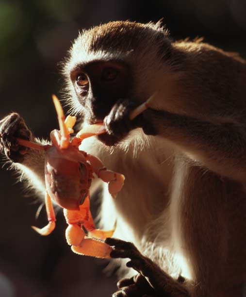 Always Drunk: A (Rather Horrifying) Fairy Tale (Which Is Why I Like It)