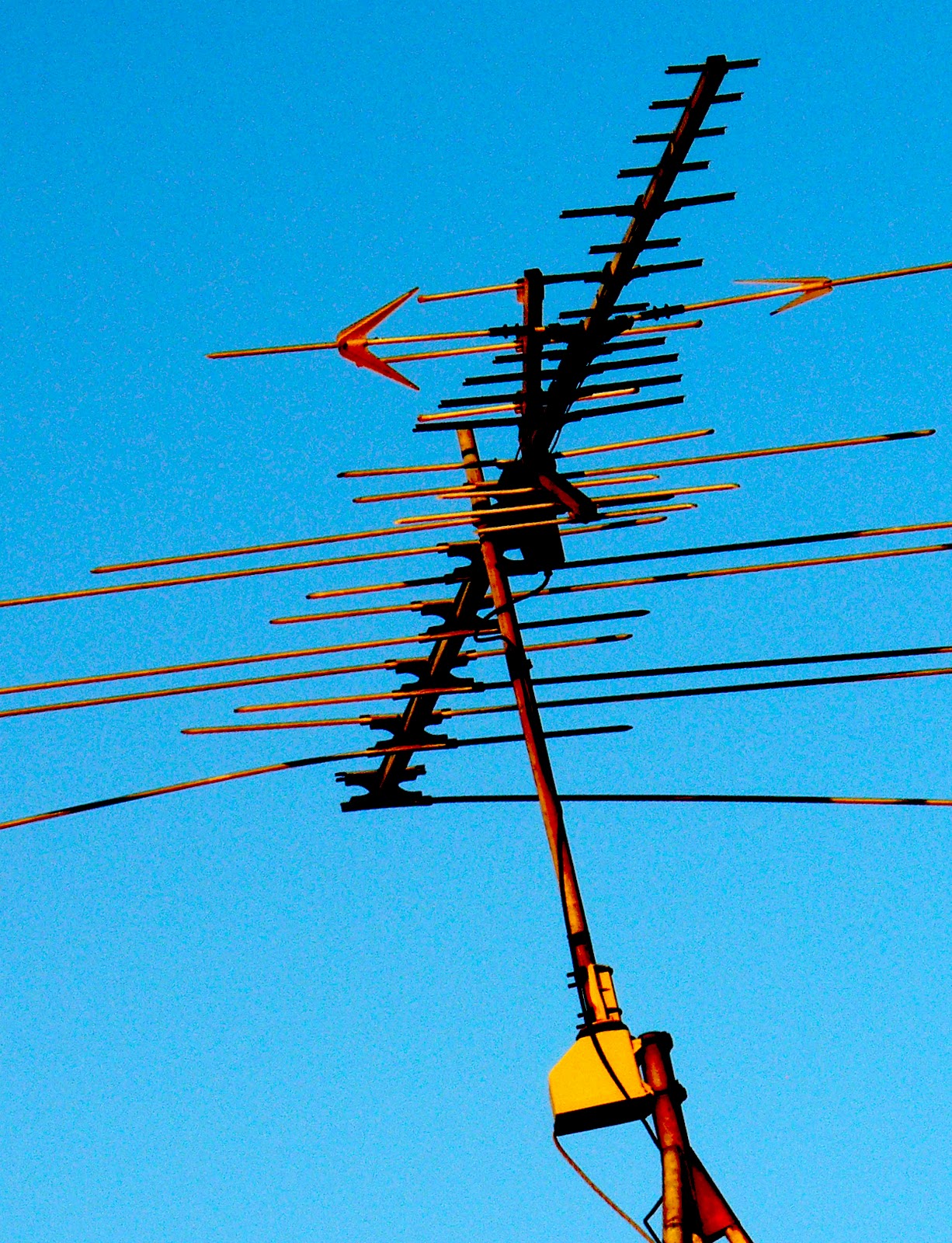 Lies & Exaggerations