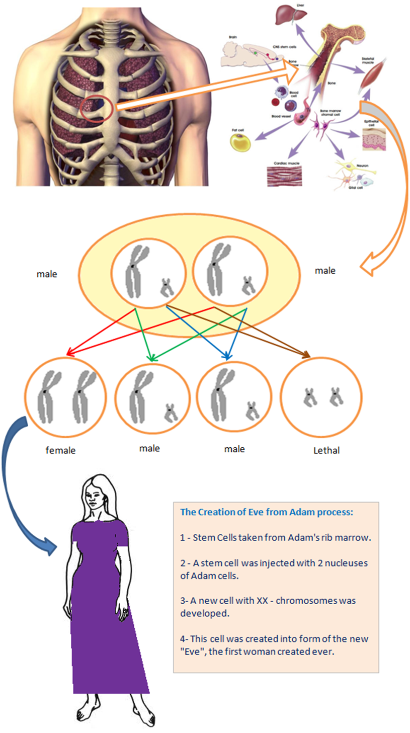 A Debate with an Atheist: The Story of Creation (17 - B): Creation of ...