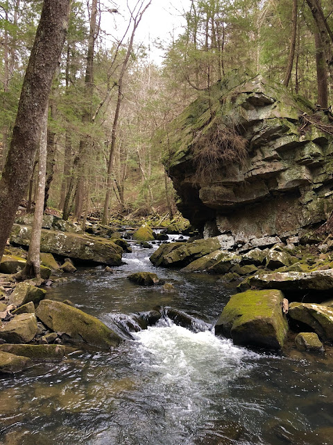 Nomadic Newfies: Foster Falls