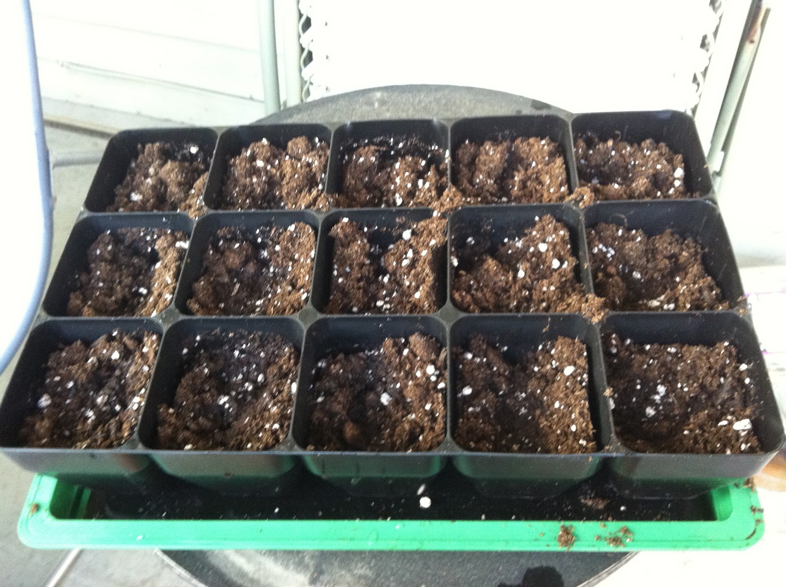 We are digging in the dirt!: Deep Root Seed Starting System