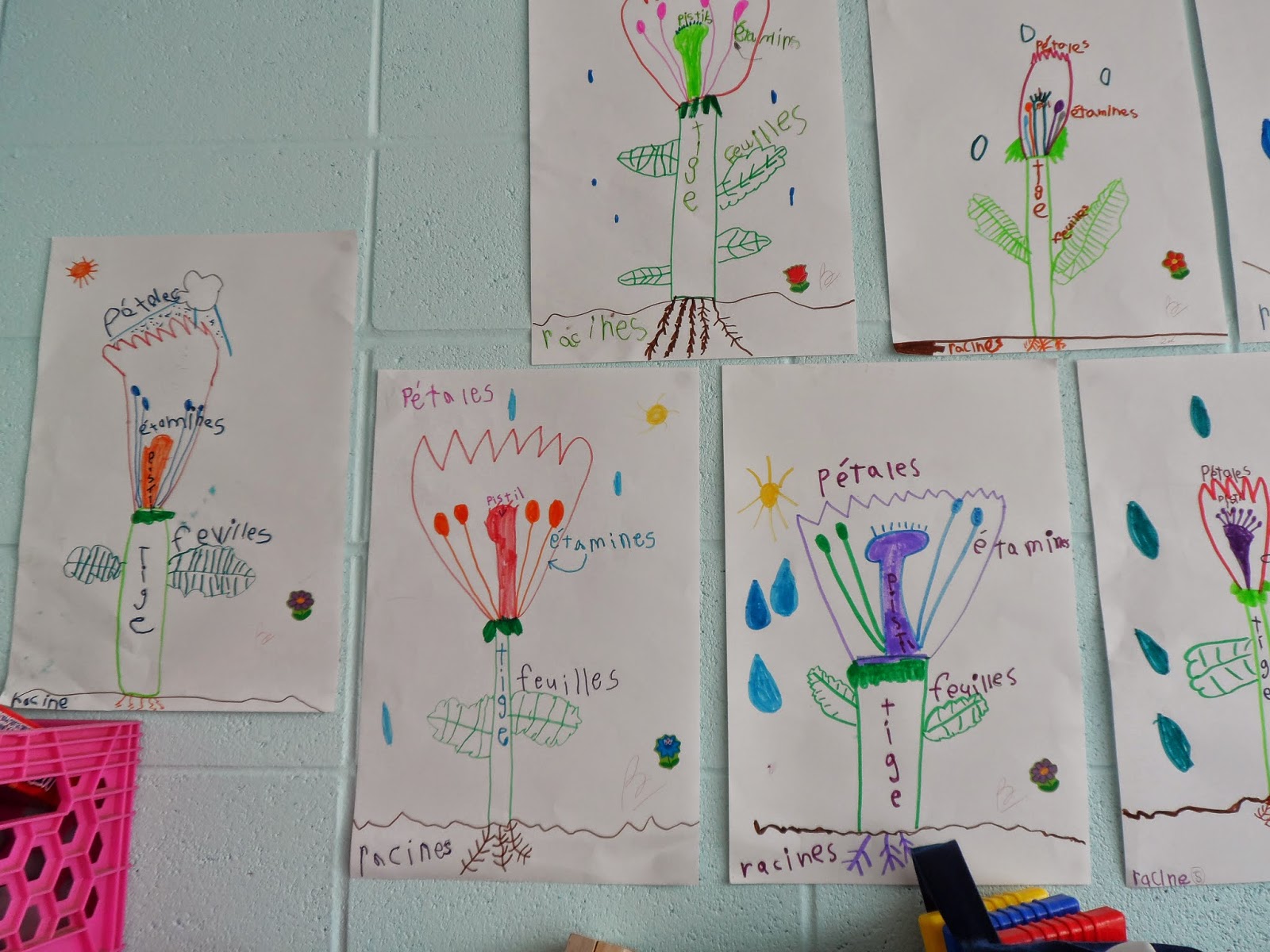 Sablière003: LES PARTIES DE LA FLEUR