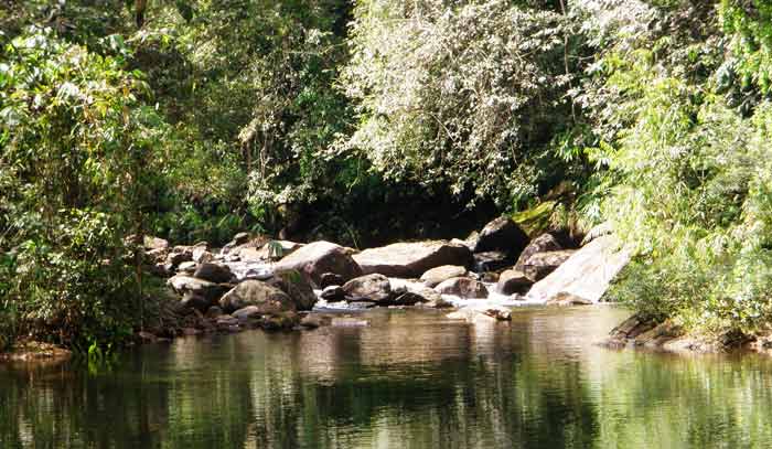 Image ~ Sinharaja Rain Forest