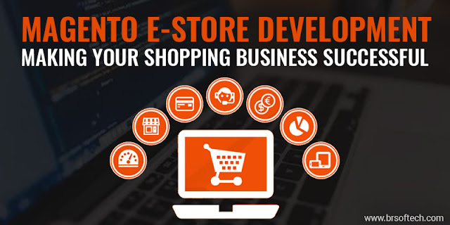 Magento E-store Development: Making Your Shopping Business Successful