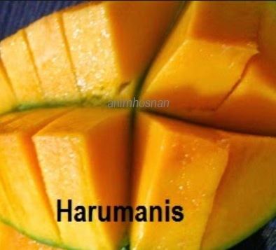 Anim Agro Technology: HARUMANIS DI JOHOR - SATU REALITI?