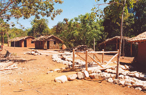 SENZALAS E QUILOMBOS