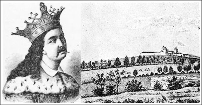 Vladimir Rosulescu - Istorie: RADU DE LA AFUMAȚI