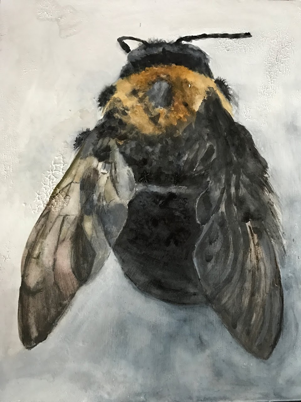 Ellen Franklin Fine Art