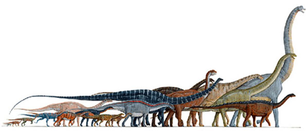Reptossaurus: Anatomia e evolução dos Dinossauros