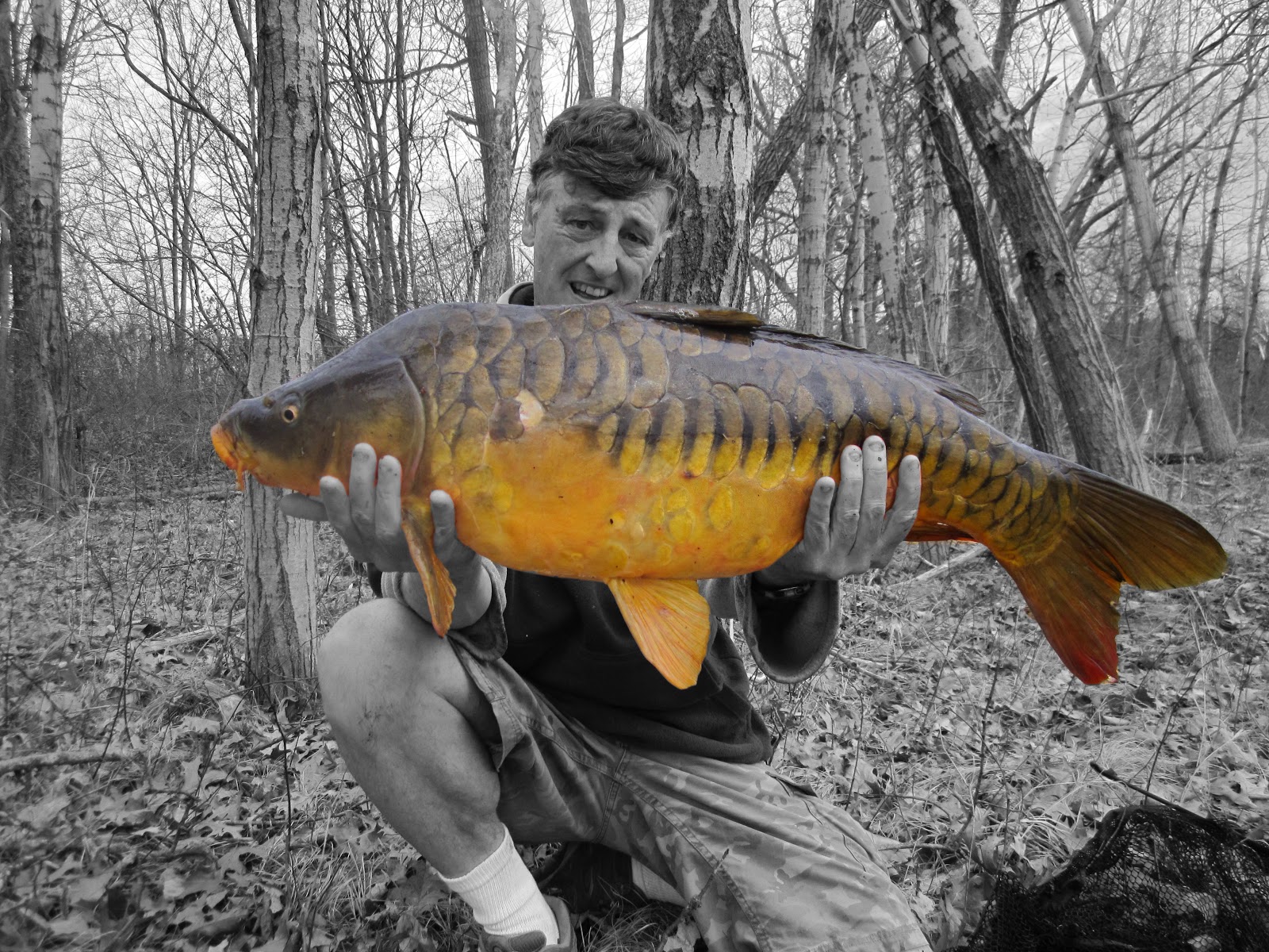 Mirror Carp Fish