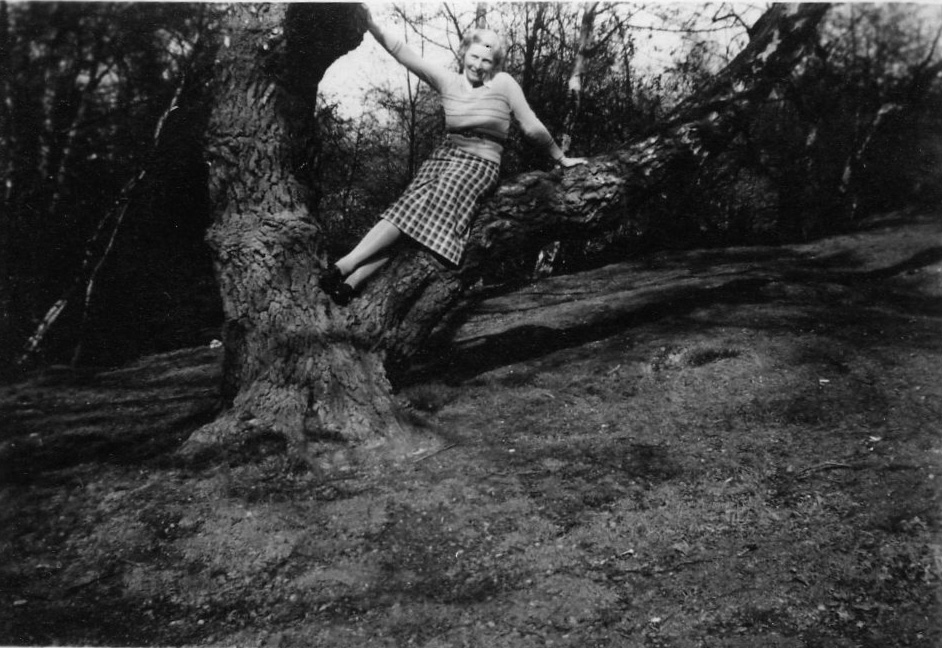 Funny Vintage Photos of Women Hanging from the Trees ~ vintage everyday