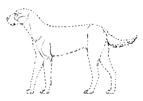 Class-3 English (Marigold) Unit- 7_1 Puppy and I / NCERT / CBSE Syllabus