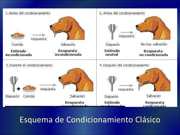 condicionamiento clasico: marzo 2016