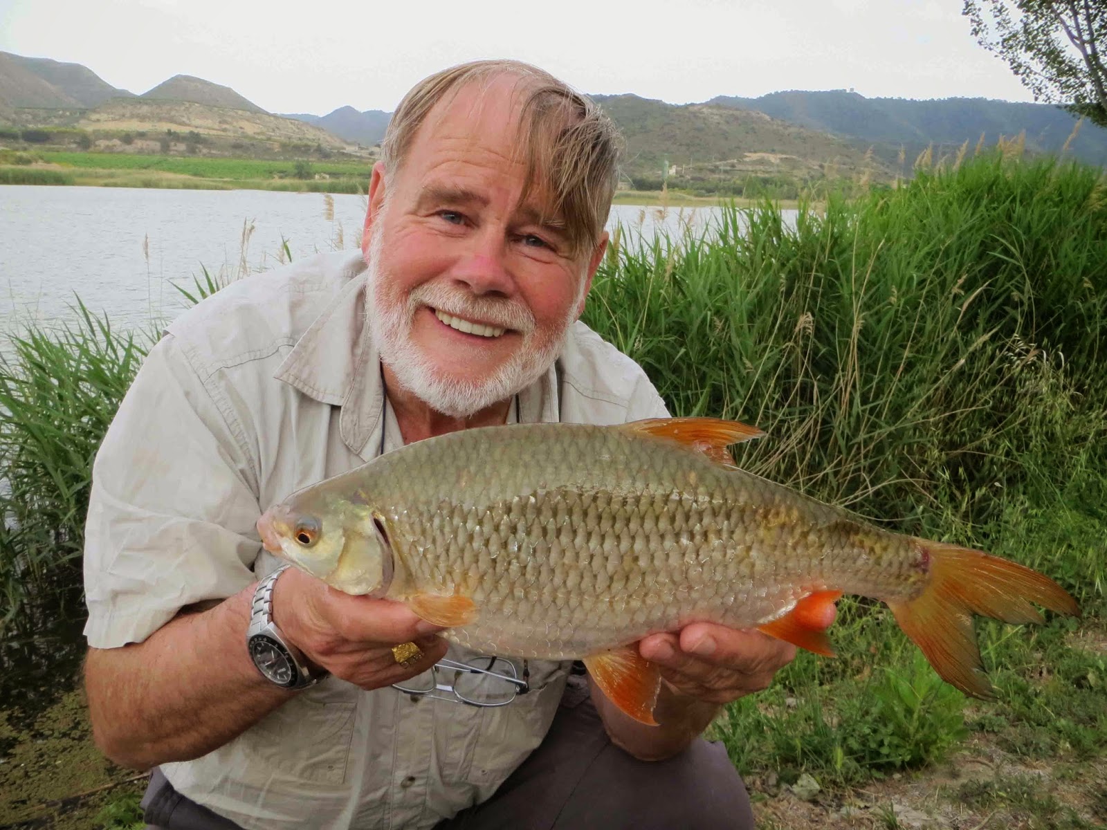 Travelling Man: Big river roach.