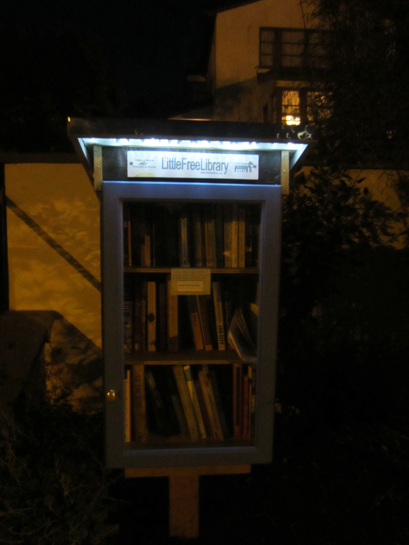 Little Free Library Night Light