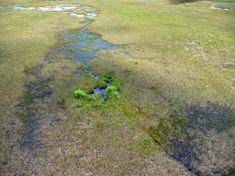Written In Stone...seen through my lens: First Visit to the Florida ...